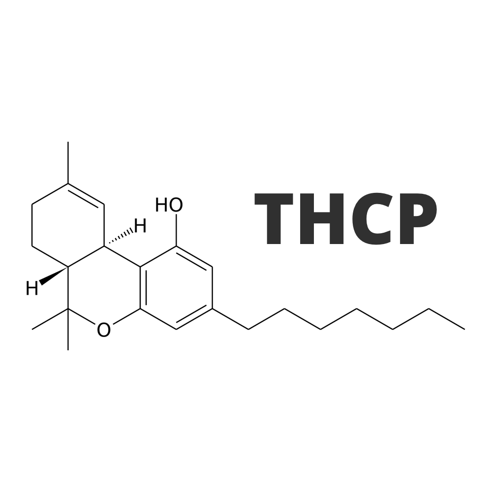 THC-P: Eine neue Dimension der Cannabinoide – Bonorum CBD