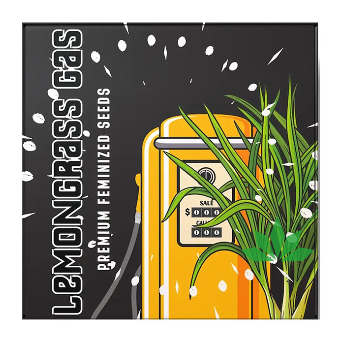 Doja - LEMONGRAS GAS - Feminisiert 6.Stk – Bonorum CBD