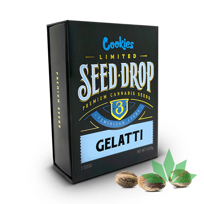 Cookies - GELATTI - Feminisiert 3.Stk / Exklusiv Drop / – Bonorum CBD